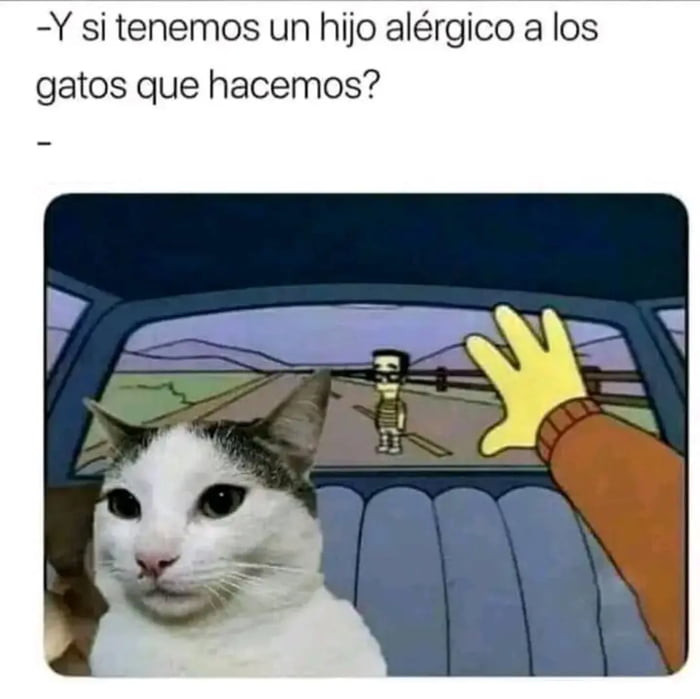 El michi es el michi - 9GAG