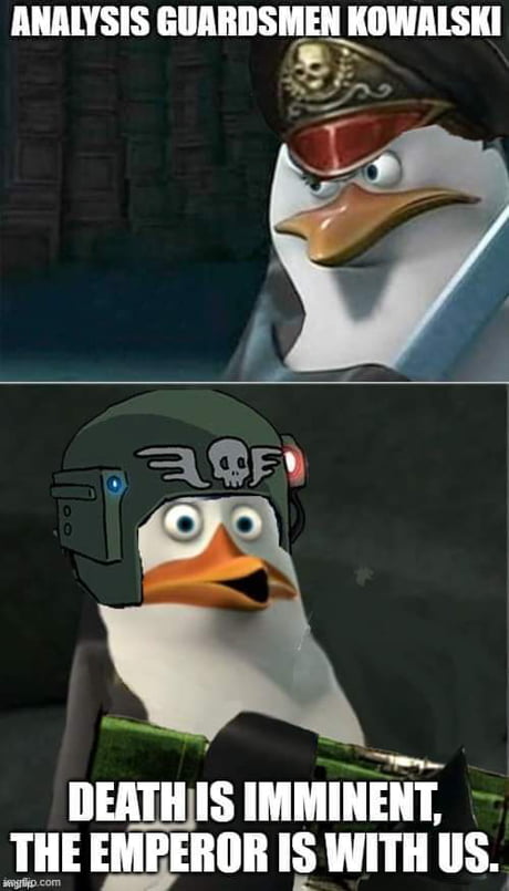 Best Funny kowalski Memes - 9GAG