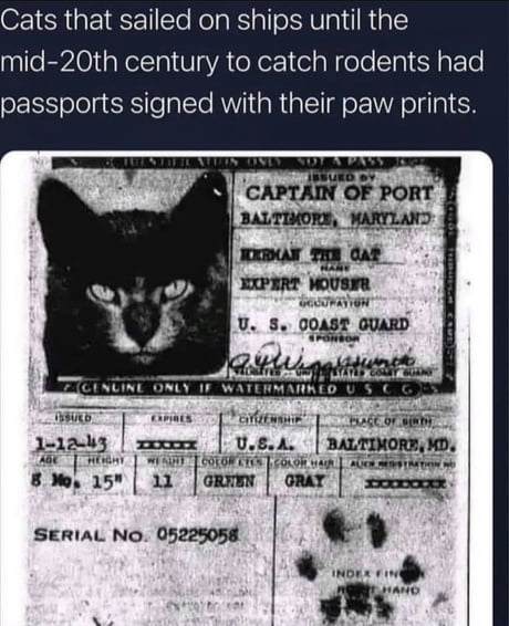 Best Funny passport Memes - 9GAG