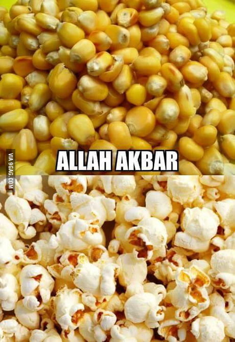 Akbar The Corn