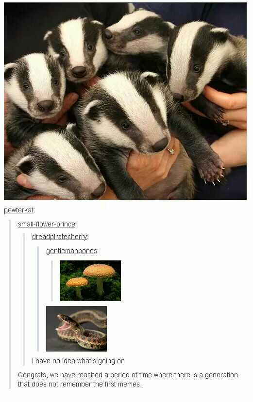 Snaaake! A snaaaake, oooh its a snake! It's a badger, badger, badger ...