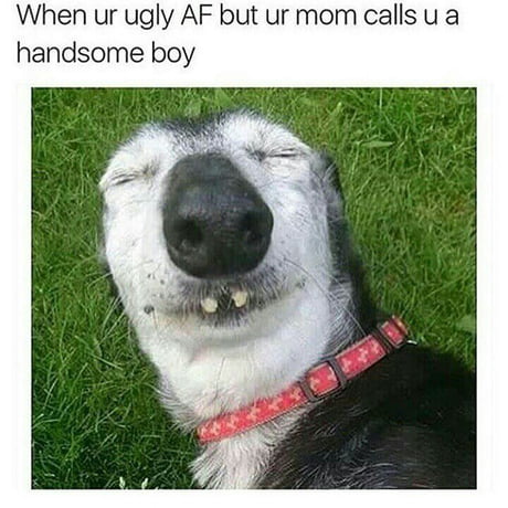You Are Handsome Meme