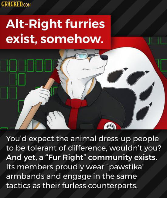 Even other furries cringe at this sight - 9GAG