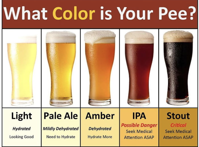 American beer so weak, it’s basically water - 9GAG