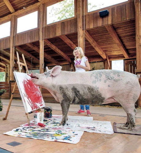 Meet Pigcasso, The Painter Pig Whose Latest Artwork Was Sold For ...