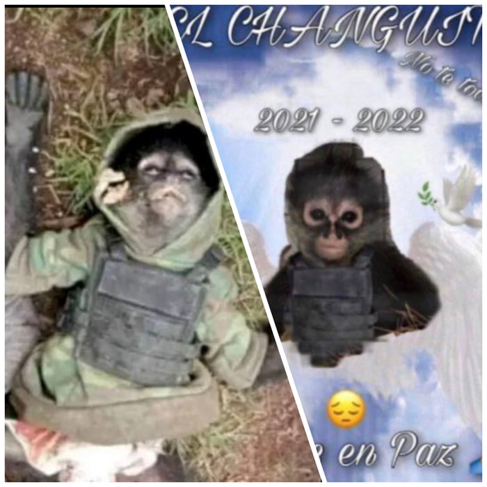 RIP El Changuito, killed by police in a raid although he had ...