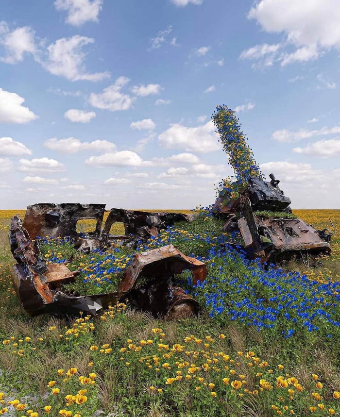 Good morning from Ukraine 💐🇺🇦 - 9GAG