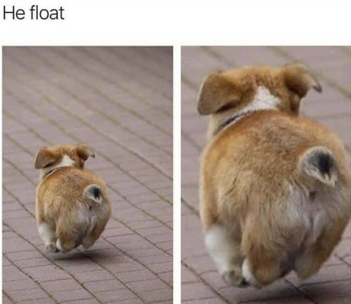 Fast af boi - 9GAG