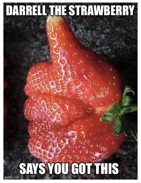 Best Funny Strawberry Memes - 9GAG