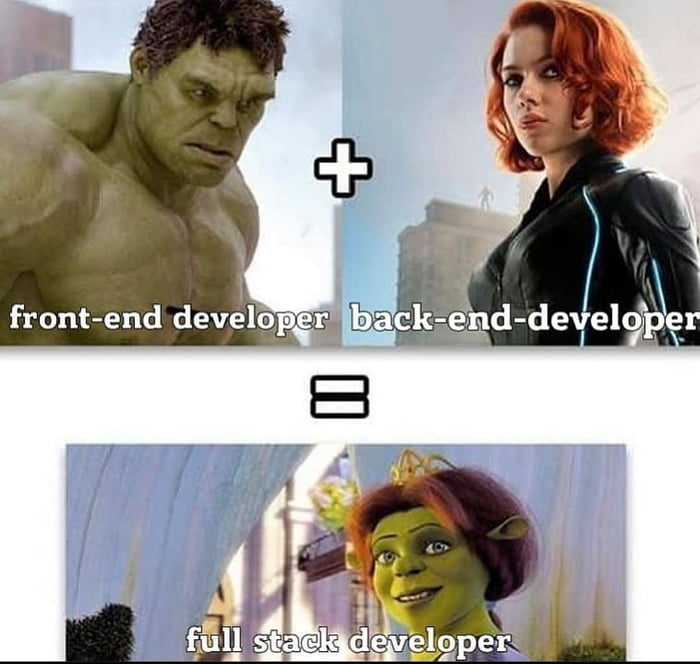 Full-Stack Developer Explained in One Image - 9GAG