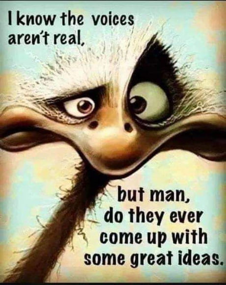 Funny Cartoon I Hear Voices