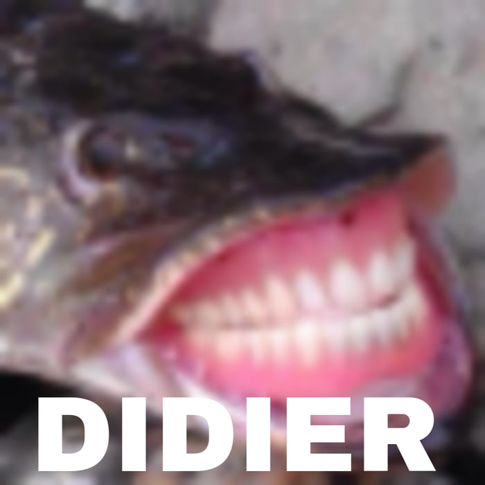 Didier - 9GAG