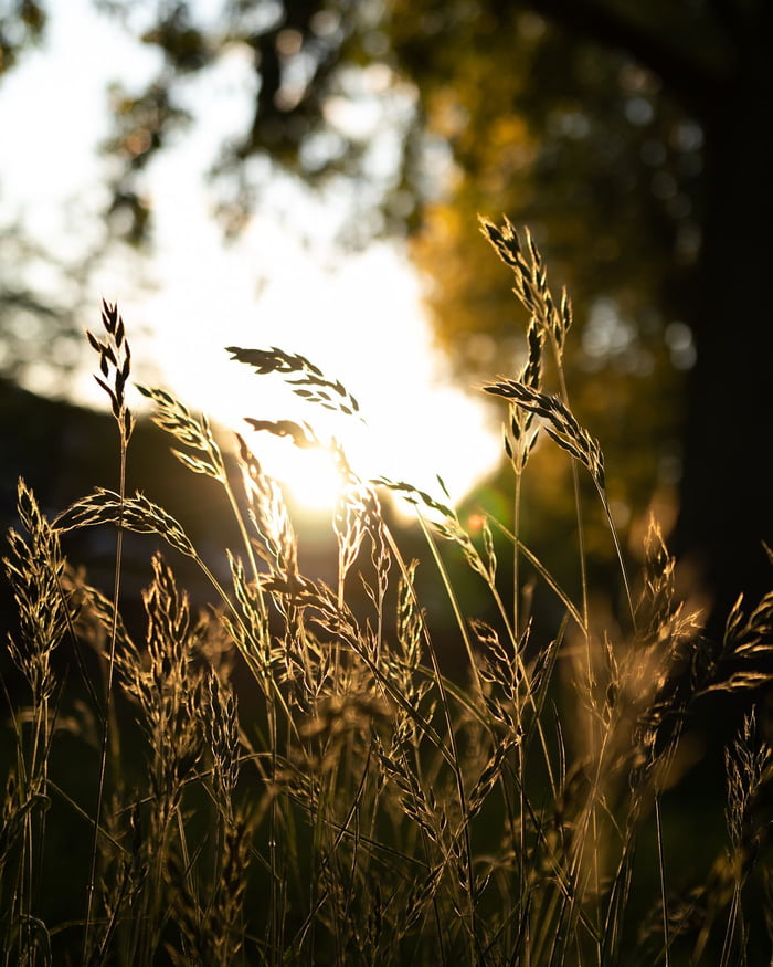 Basking in the sun - 9GAG