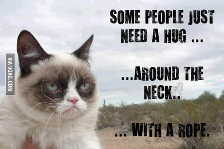 Grumpy Cat Meme No Just No