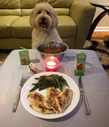 Best Funny dine Memes - 9GAG