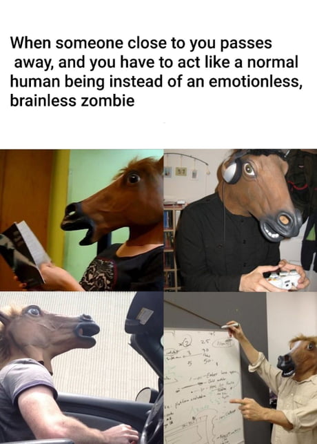 Funny Horse Mask Meme