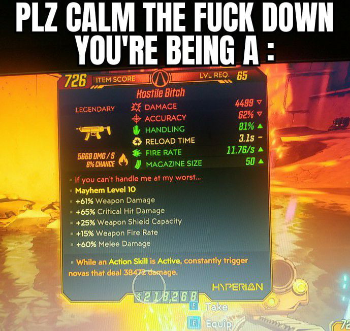 Playing BL3 and got some meme material - 9GAG