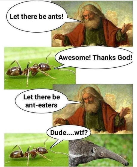 Creationism Meme I Think Evolutionist Creationism Is The Most