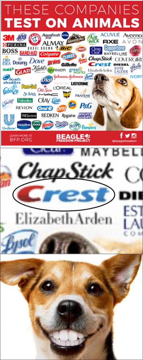 Bic Animal Testing