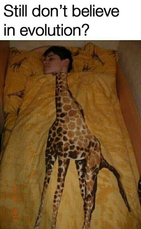 Funny Giraffe Memes