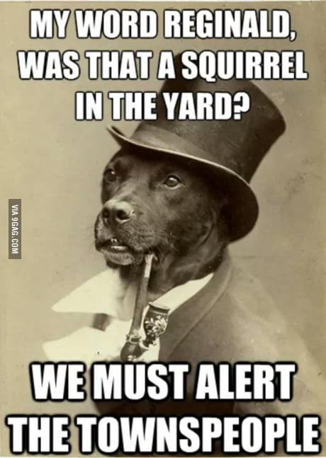 Pompous Memes
