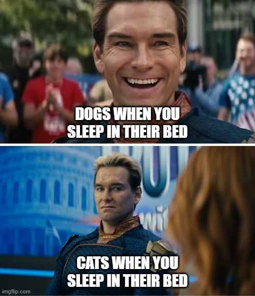 Dogs happy cats grumpy - 9GAG