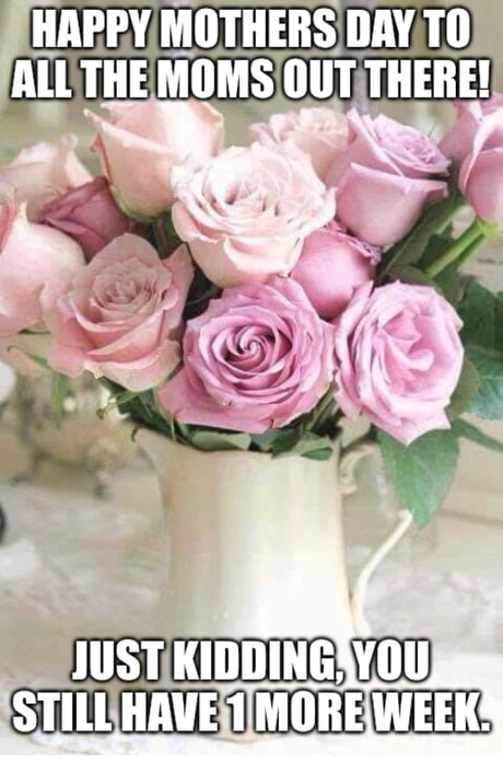 Best Funny gotcha Memes - 9GAG