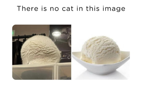Ice Dinner Memes 66 Ice Cream Memes That Are Lactose Free