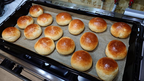 Best Funny buns Memes - 9GAG