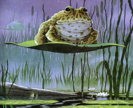 Best Funny frog Memes - 9GAG