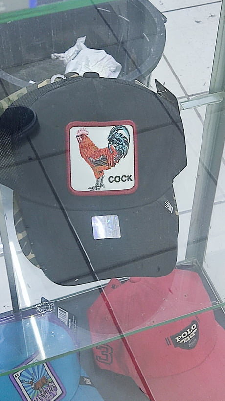 Best Funny rooster Memes - 9GAG