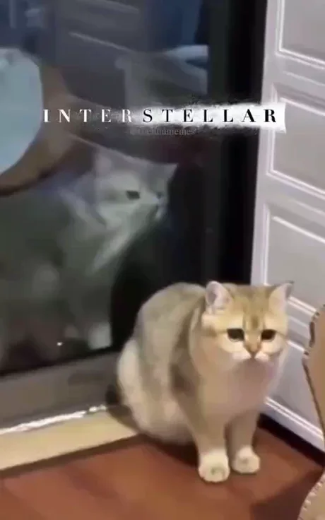 9gag Interstellar Memes The Best Interstellar Memes :) Memedroid
