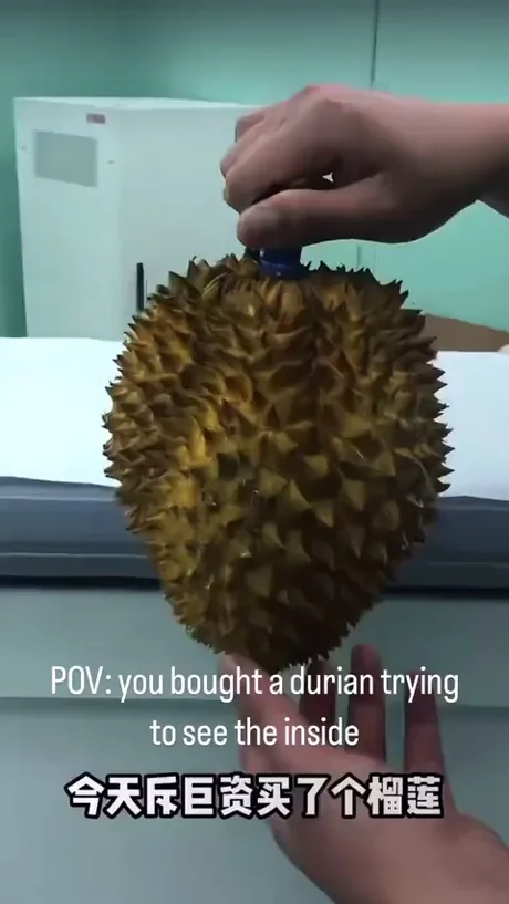 Memes Durian Funny Durian Tote Bag Durian Lover Gift I M Just Here For