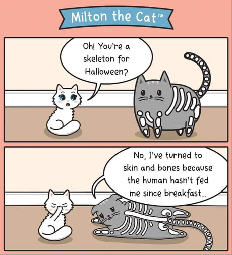 Best Funny milton Memes - 9GAG