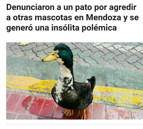Memes Sobre Mendoza
