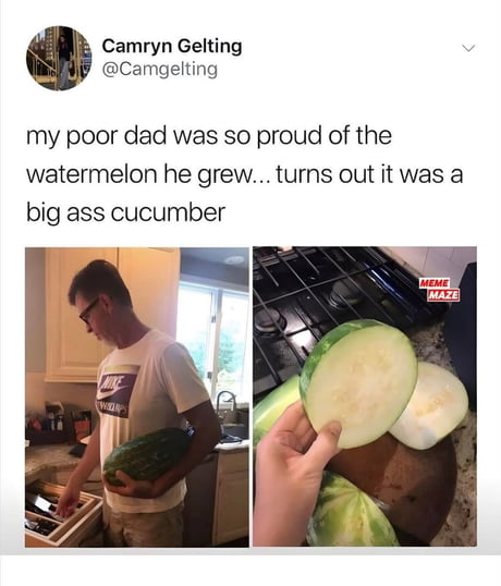 Memes About Watermelon