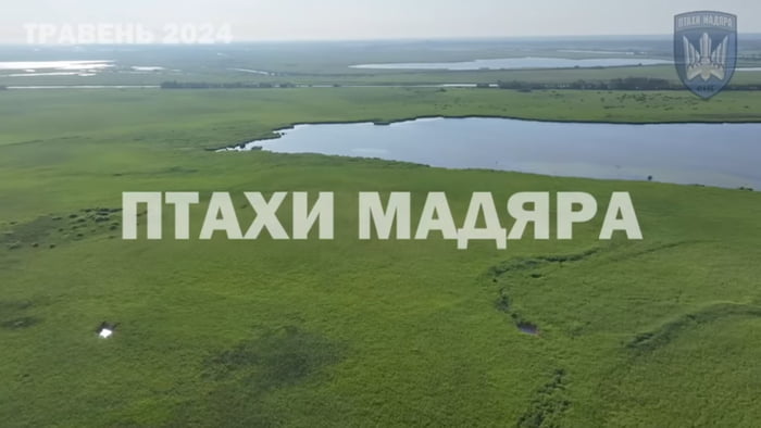 Quality content from the Magyars Birds unit by the link in the comments ...