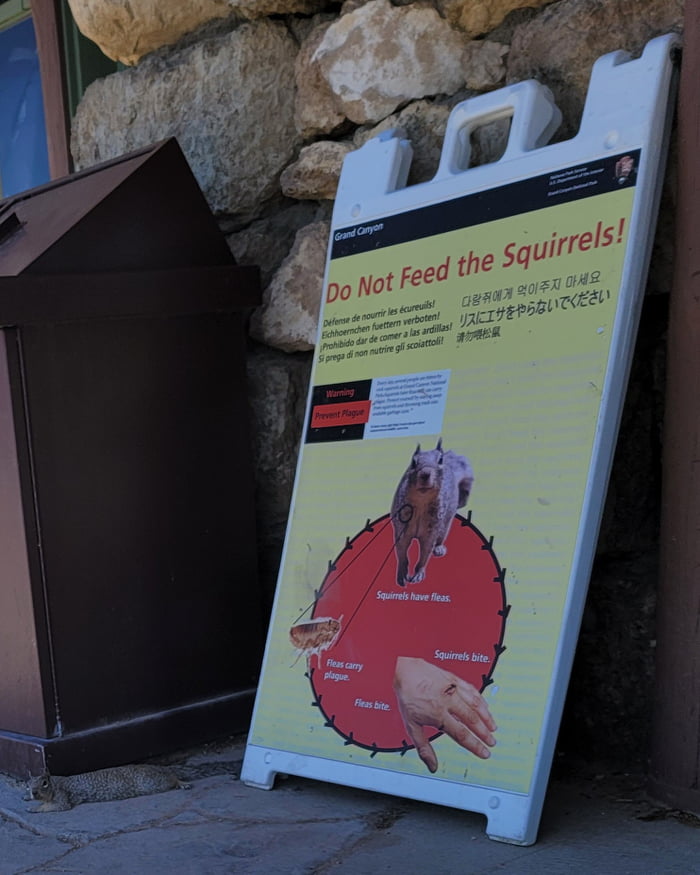 Please do not the squirrel - 9GAG