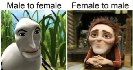 Best Funny ugly Memes - 9GAG