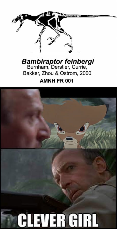 Best Funny bambi Memes - 9GAG