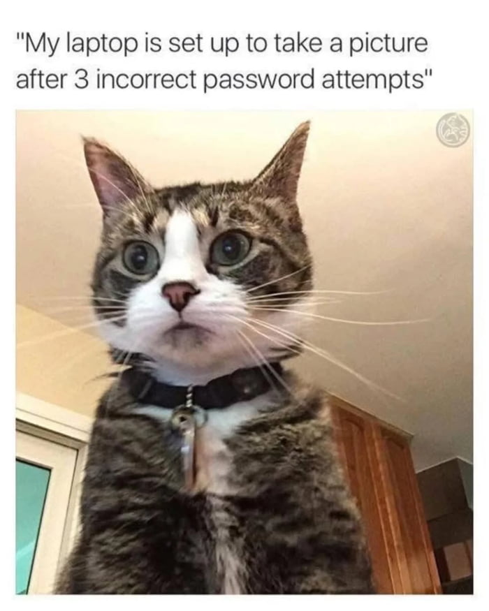 When your cat tries to crack your password - 9GAG