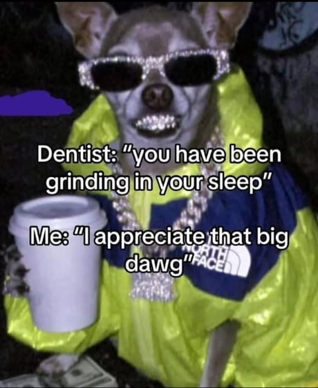 Best Funny chihuahua Memes - 9GAG