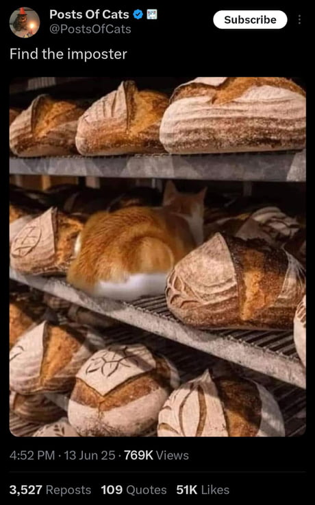 Brown Bread Memes Bread Memes & GIFs Imgflip