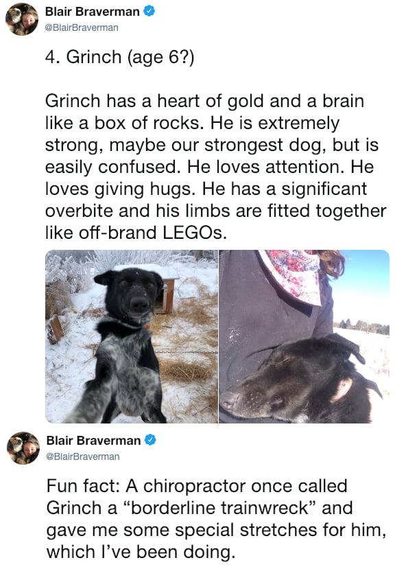 Musher Introduces Her 20 Sled Dogs With Colorful Personalities - 9GAG