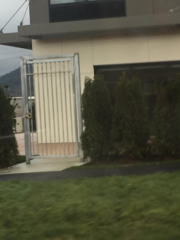This gate with no fence - 9GAG