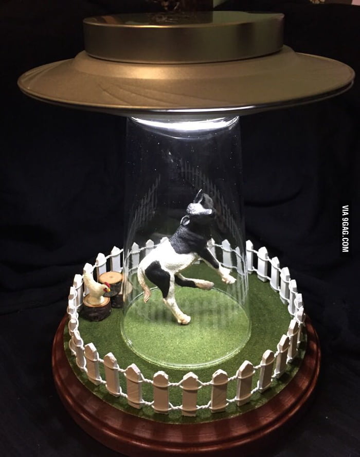 Alien abduction lamp. - 9GAG