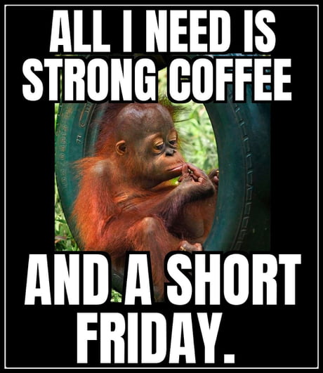 Best Funny friday humor Memes - 9GAG