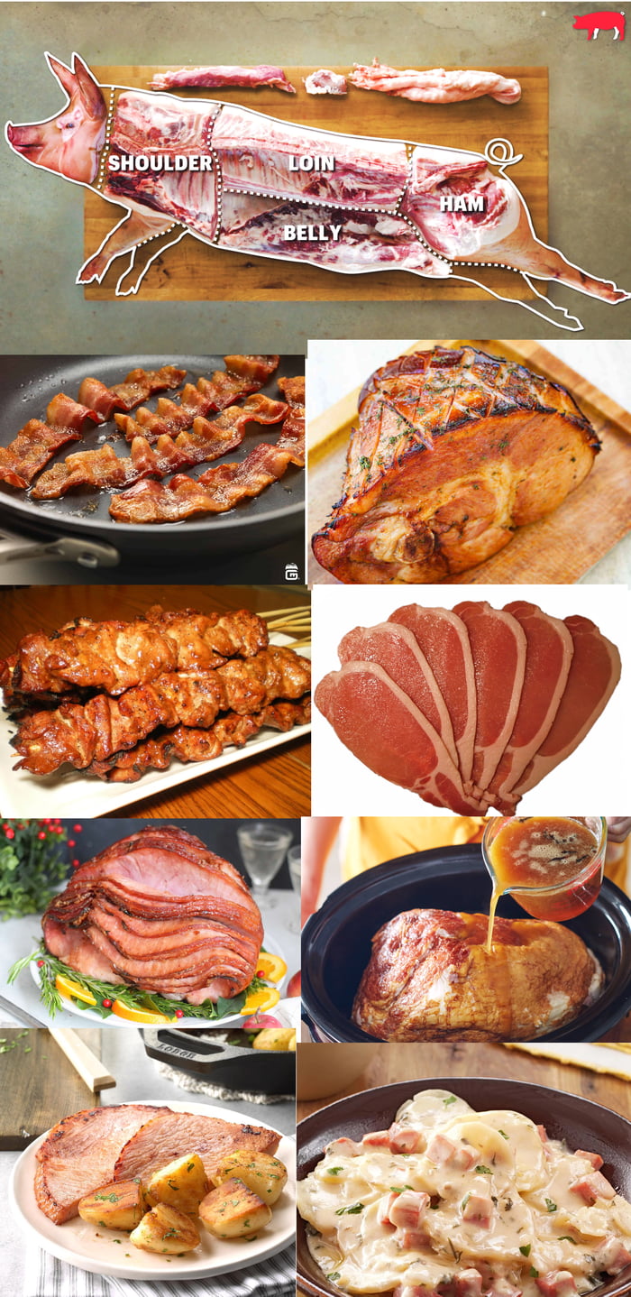 Pig Pork Bacon Ham, Yum! Yum! - 9GAG