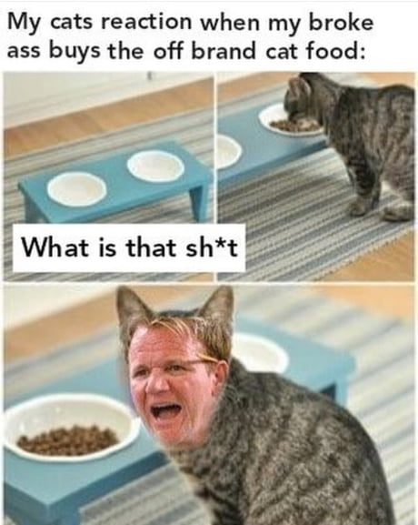 Best Funny diarrhea Memes - 9GAG