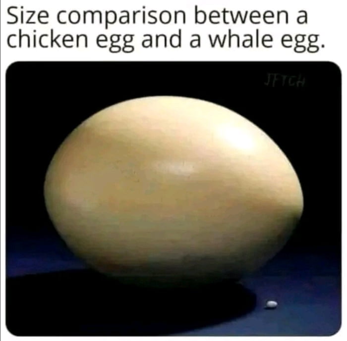 Know your eggs - 9GAG